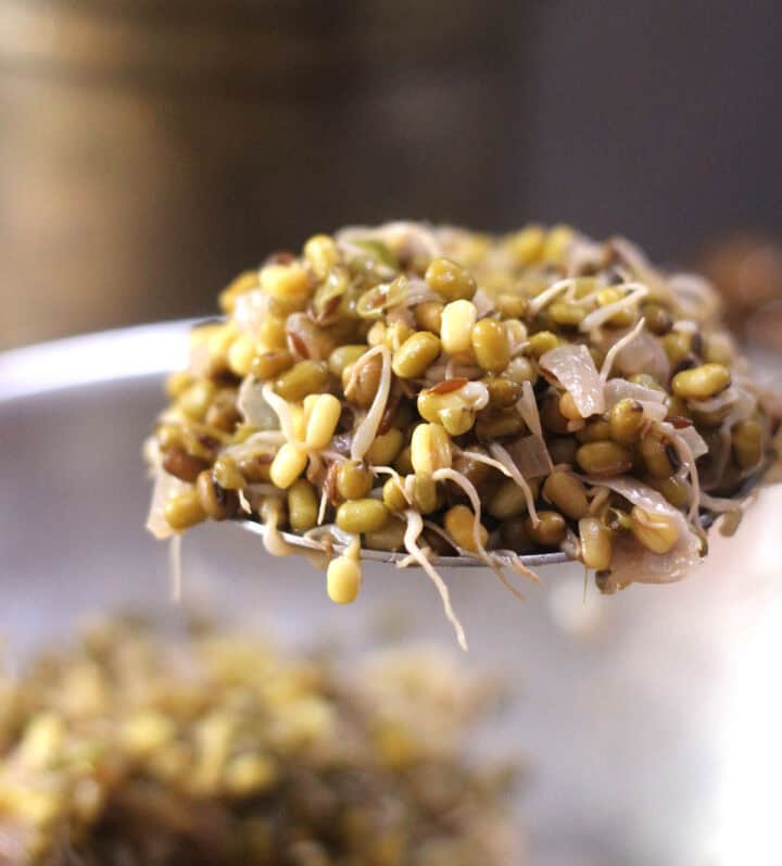 Mung Bean Sprouts Stir Fry - Cook with Kushi